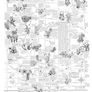 Illustrated Cactus Wall Map - Phoenix Cactus Map, Botanical Wall Map ...