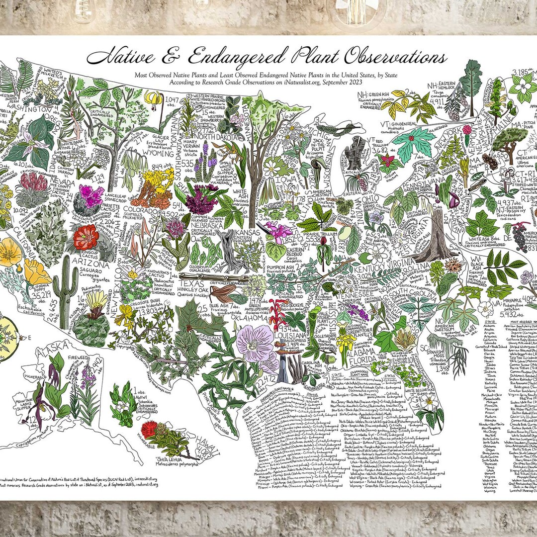 US Native & Endangered Plant Map - Botanical Map - 13x19, 19x27 - Etsy