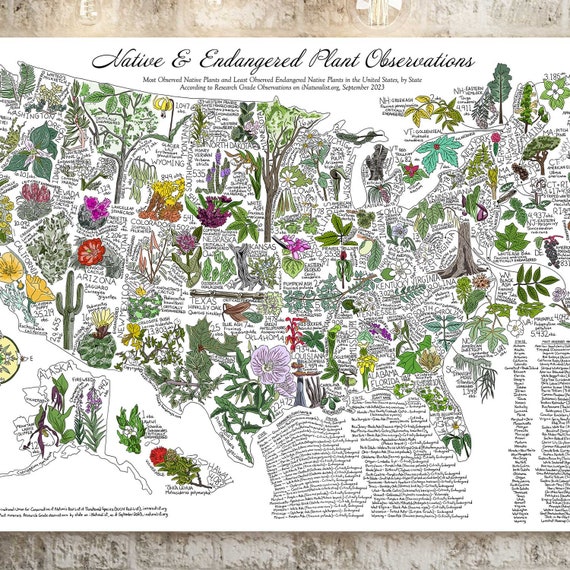 Endangered Plants Chart With Names