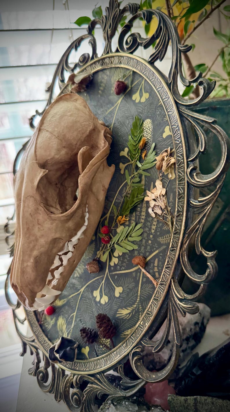 Red Fox Skull Foraged Forest Vintage Frame - Etsy