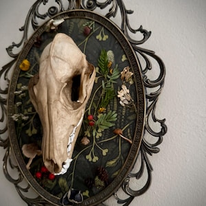 Red Fox Skull Foraged Forest Vintage Frame - Etsy