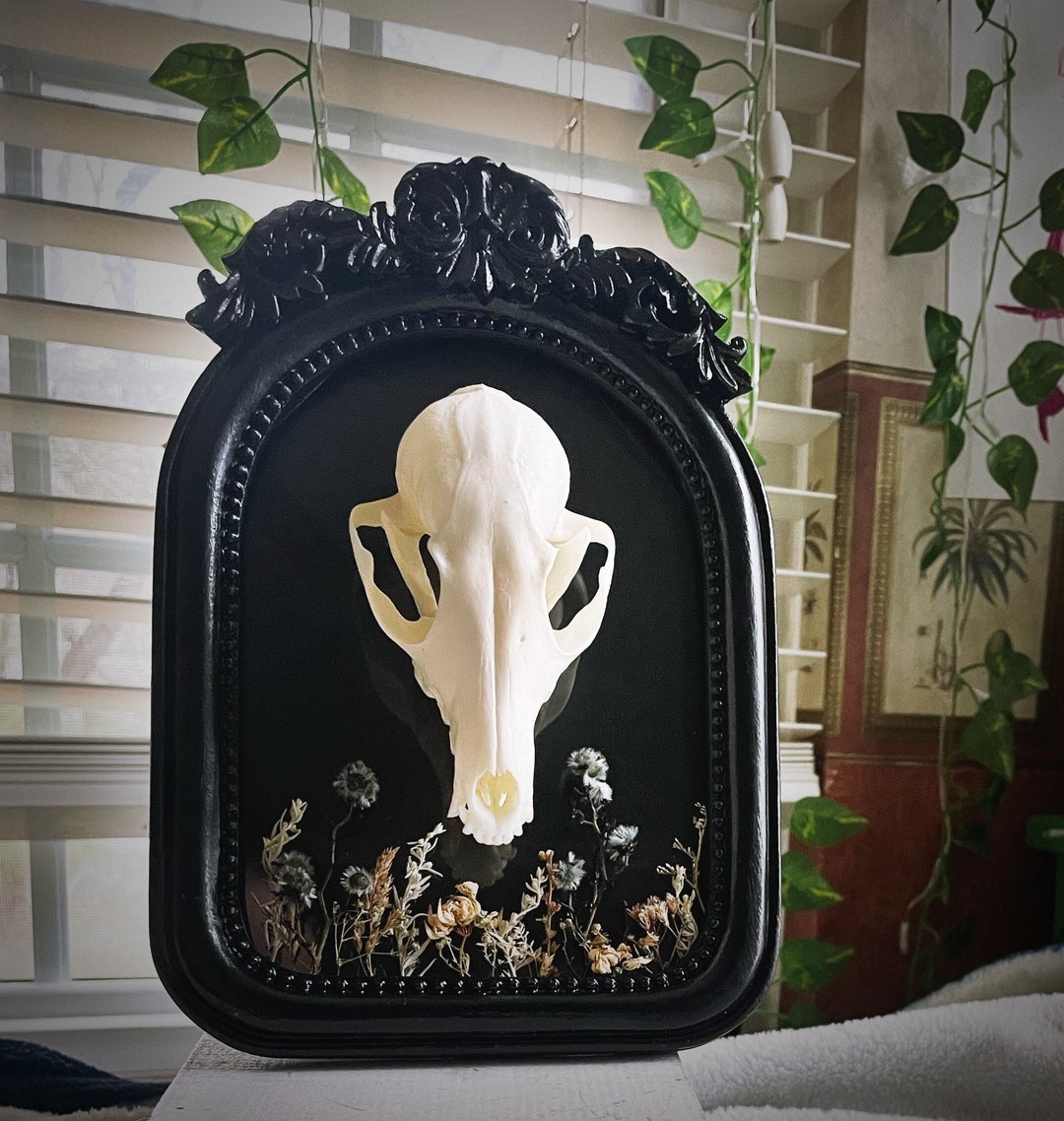 Swift Fox Skull Gothic Frame - Etsy