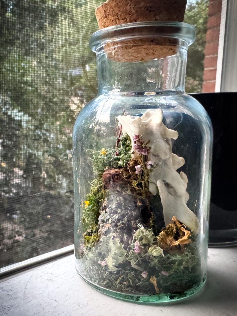 Fox Vertebrae Bones Fairy Forest Glass Bottle - Etsy UK
