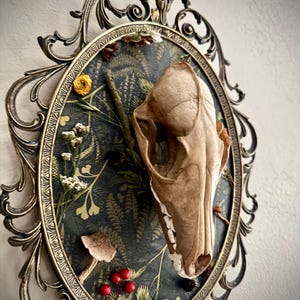 Red Fox Skull Foraged Forest Vintage Frame - Etsy