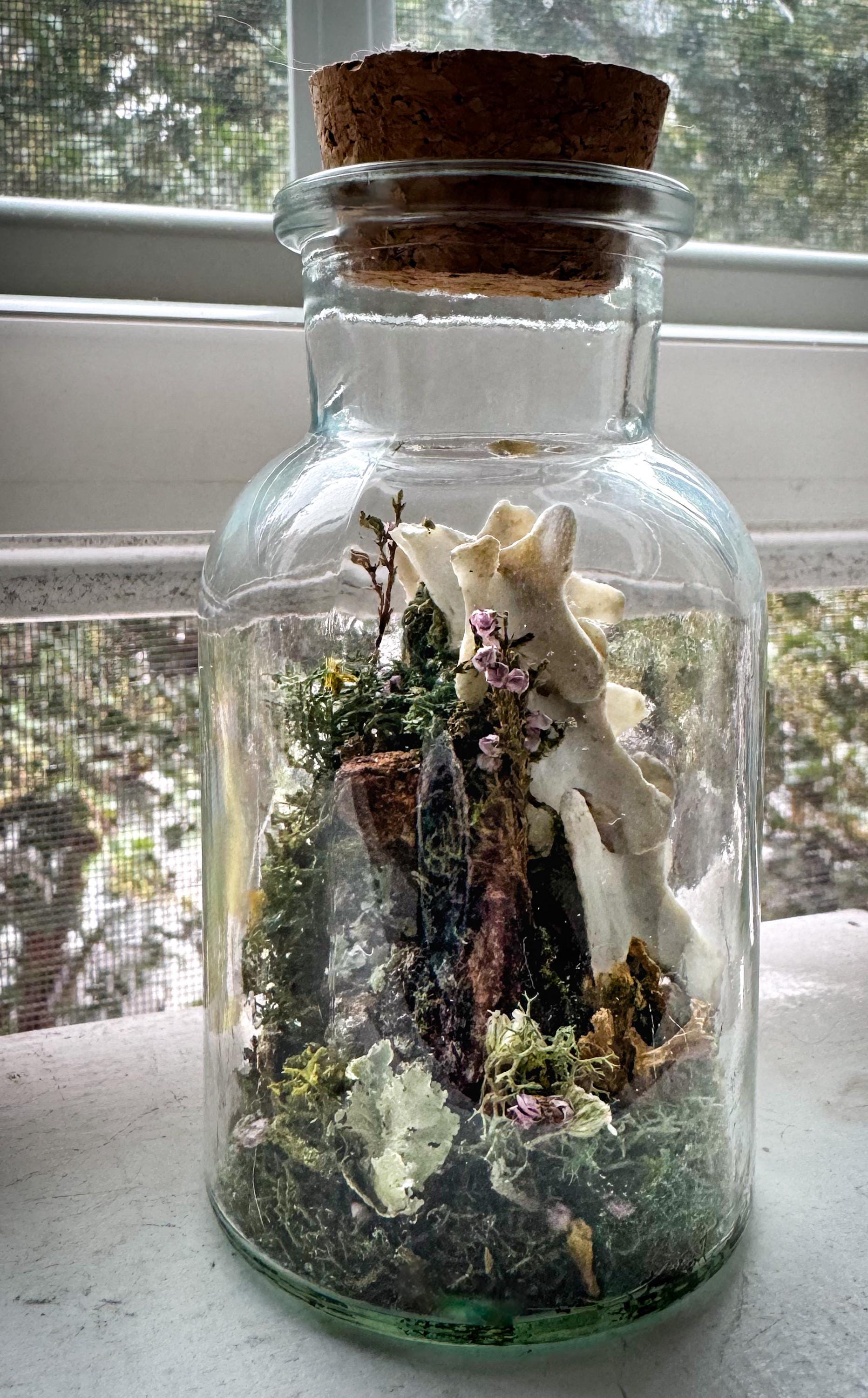Fox Vertebrae Bones Fairy Forest Glass Bottle - Etsy UK