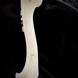 Animal Bone Wand- Deer - Etsy