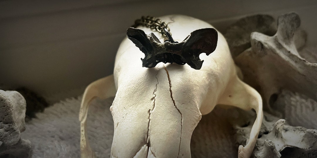 Red Fox Atlas Vertebra Bone Necklace - Etsy