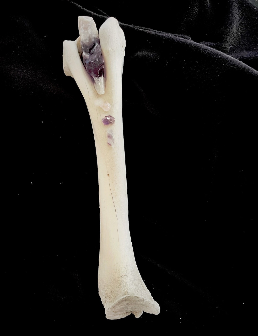 Animal Bone Wand- Deer - Etsy