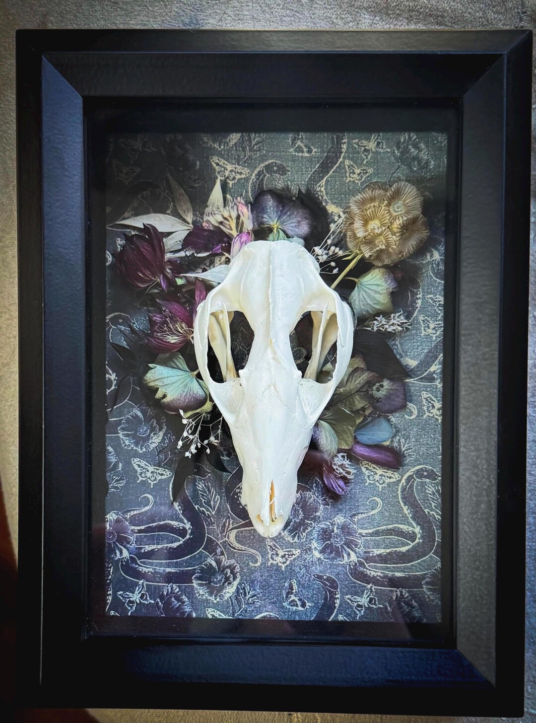 Opossum Skull Gothic Floral Shadow Box - Etsy
