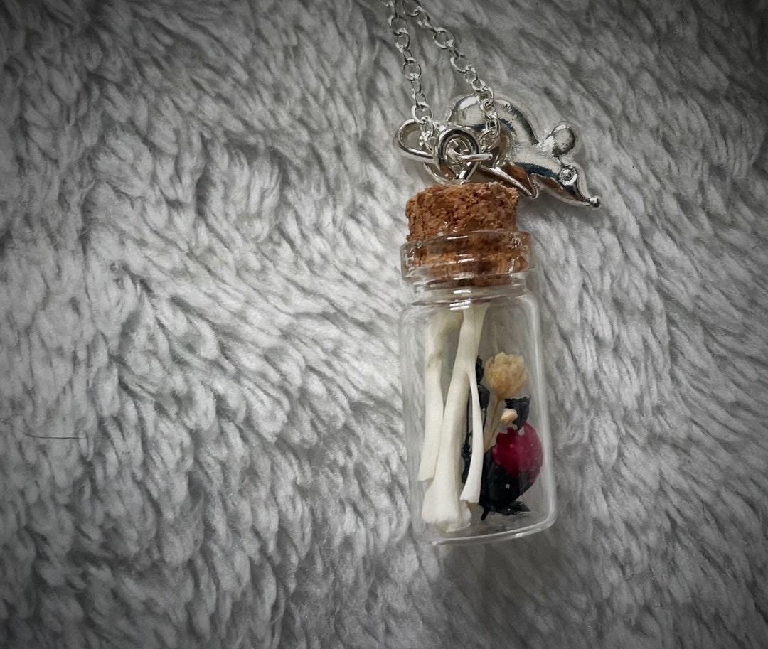 Rat Arm Bones Vial Necklace - Etsy