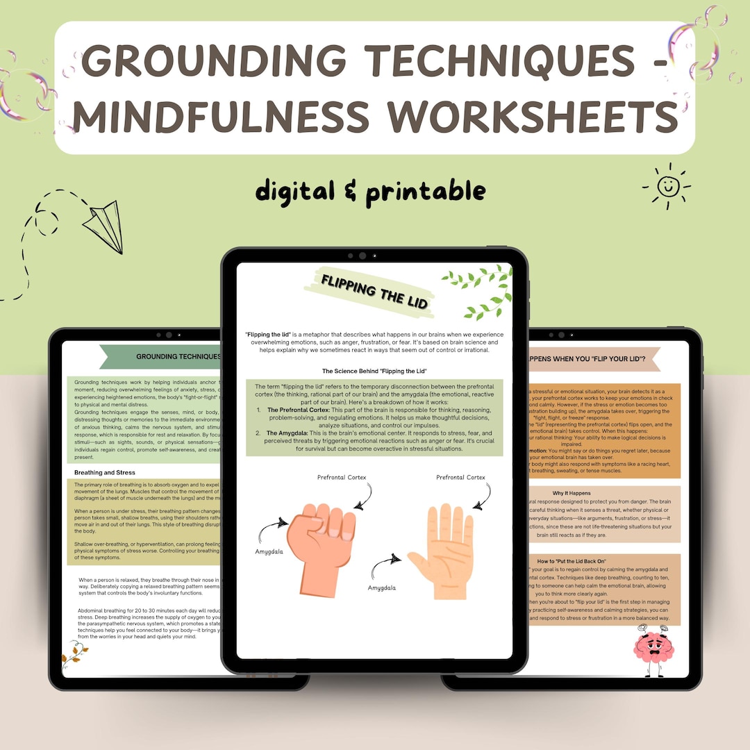 Flipping the Lid, Grounding Techniques, Coping Skills, Anxiety Relief ...