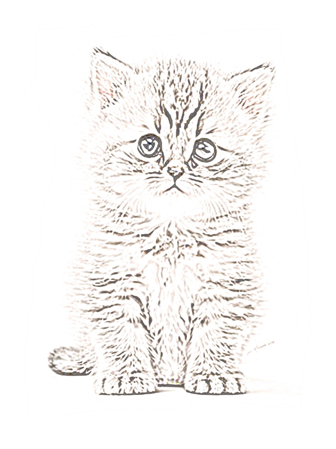 Baby Cat Sketch Printable Wall Art - Etsy