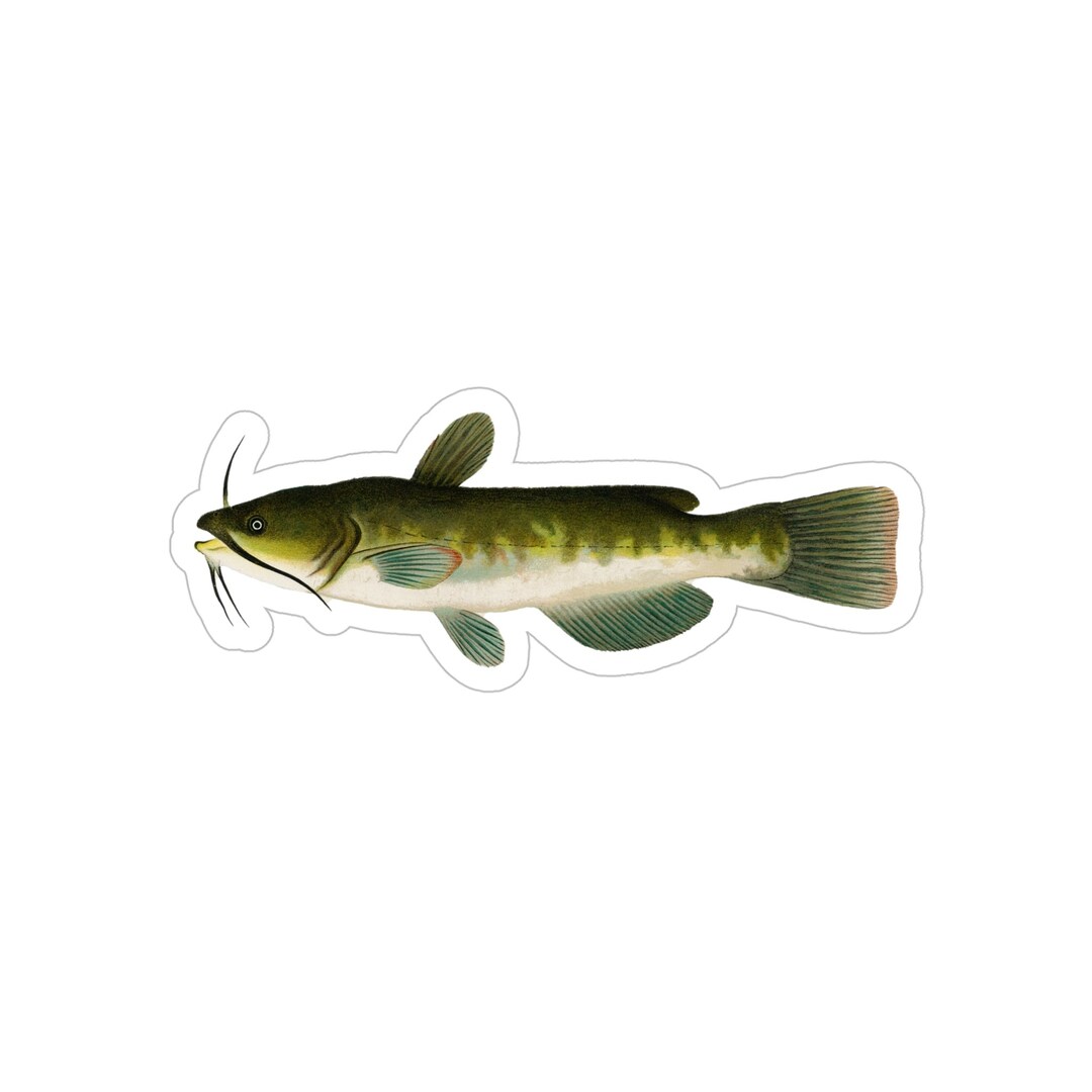 Bullhead - Decal - Etsy
