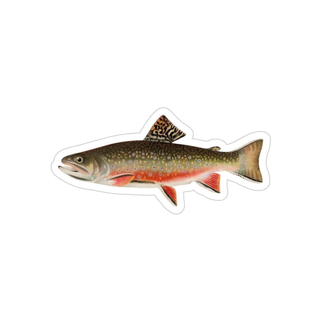 Brook Trout - Decal - Etsy