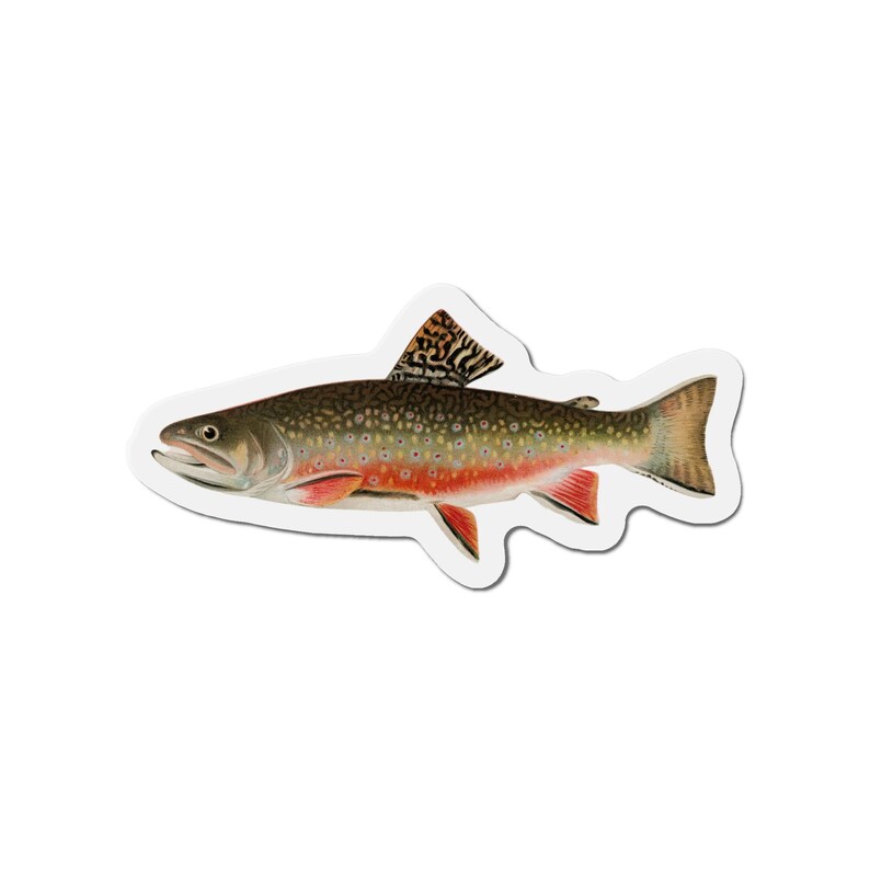 Brook Trout - Magnet - Etsy
