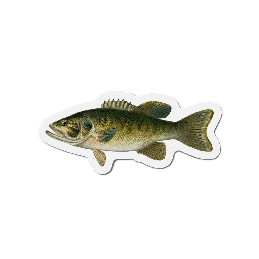 Smallmouth Bass - Magnet - Etsy