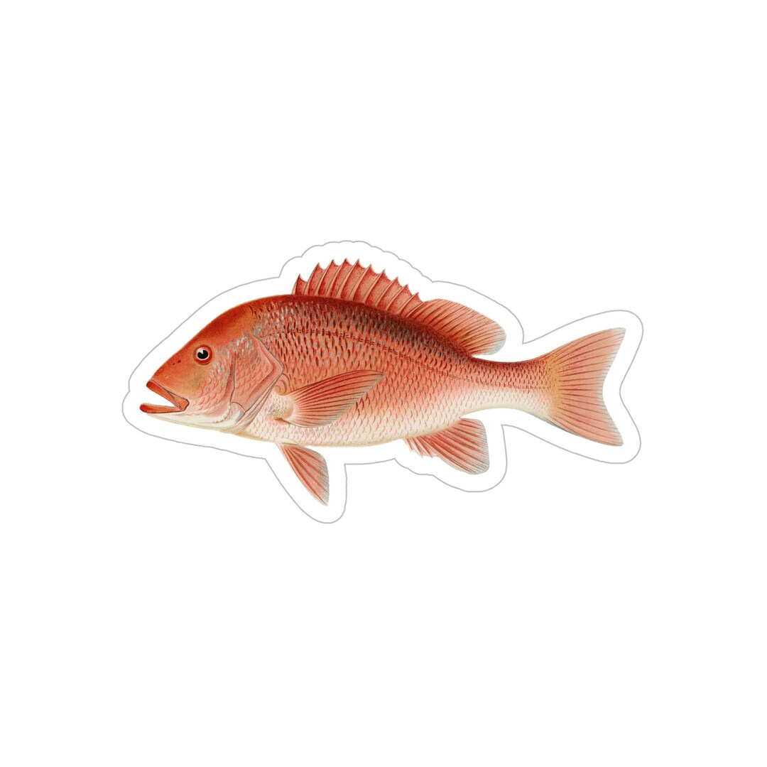 Red Snapper - Decal - Etsy