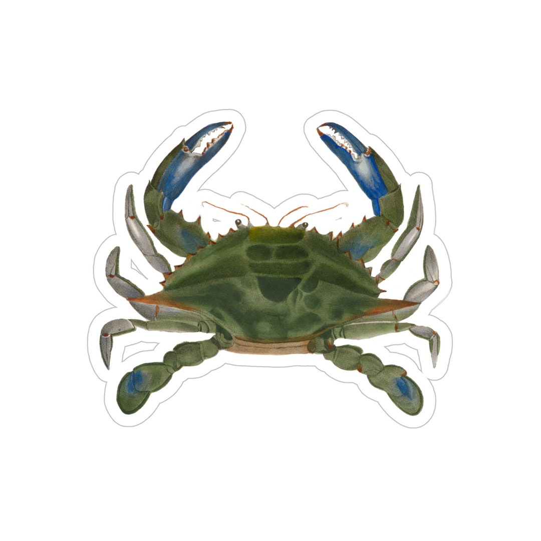 Blue Crab - Decal - Etsy