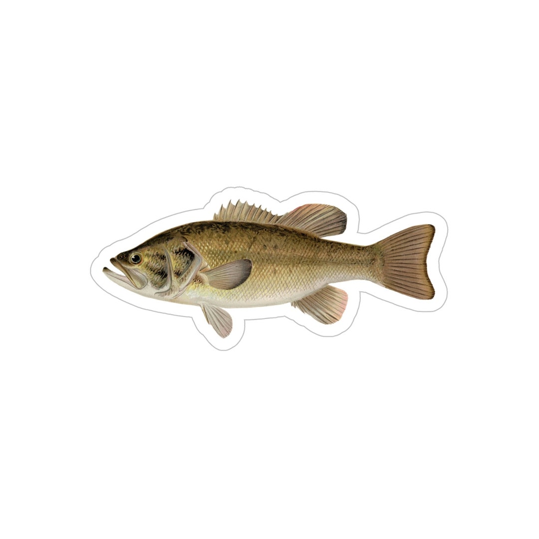 Largemouth Bass - Decal - Etsy