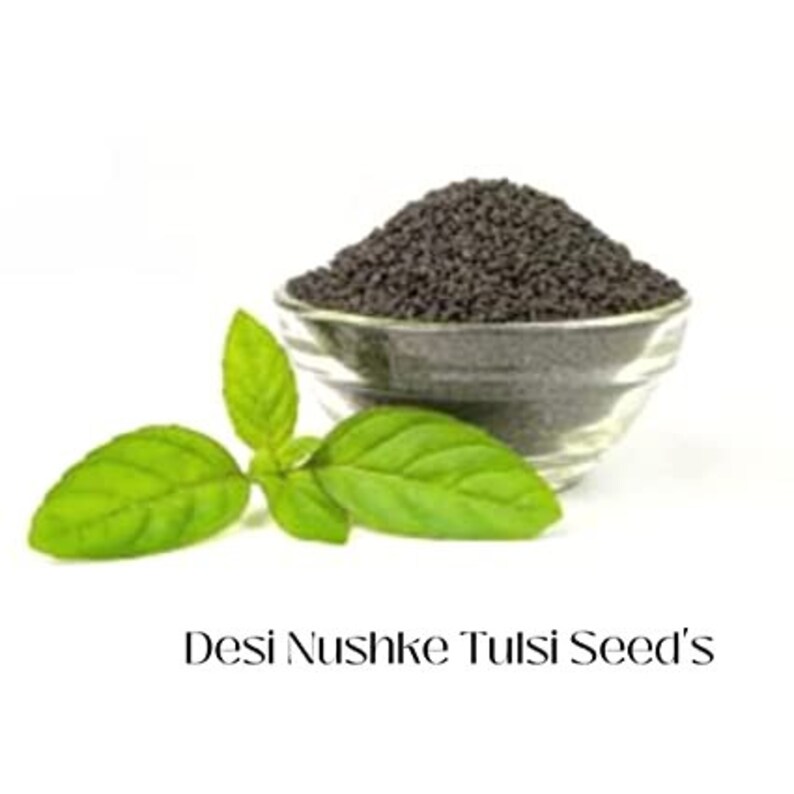 DESI NUSHKE Tulsi Seeds Holy Basil Seeds |200 GM| | Farm Fresh Seeds |7 ...