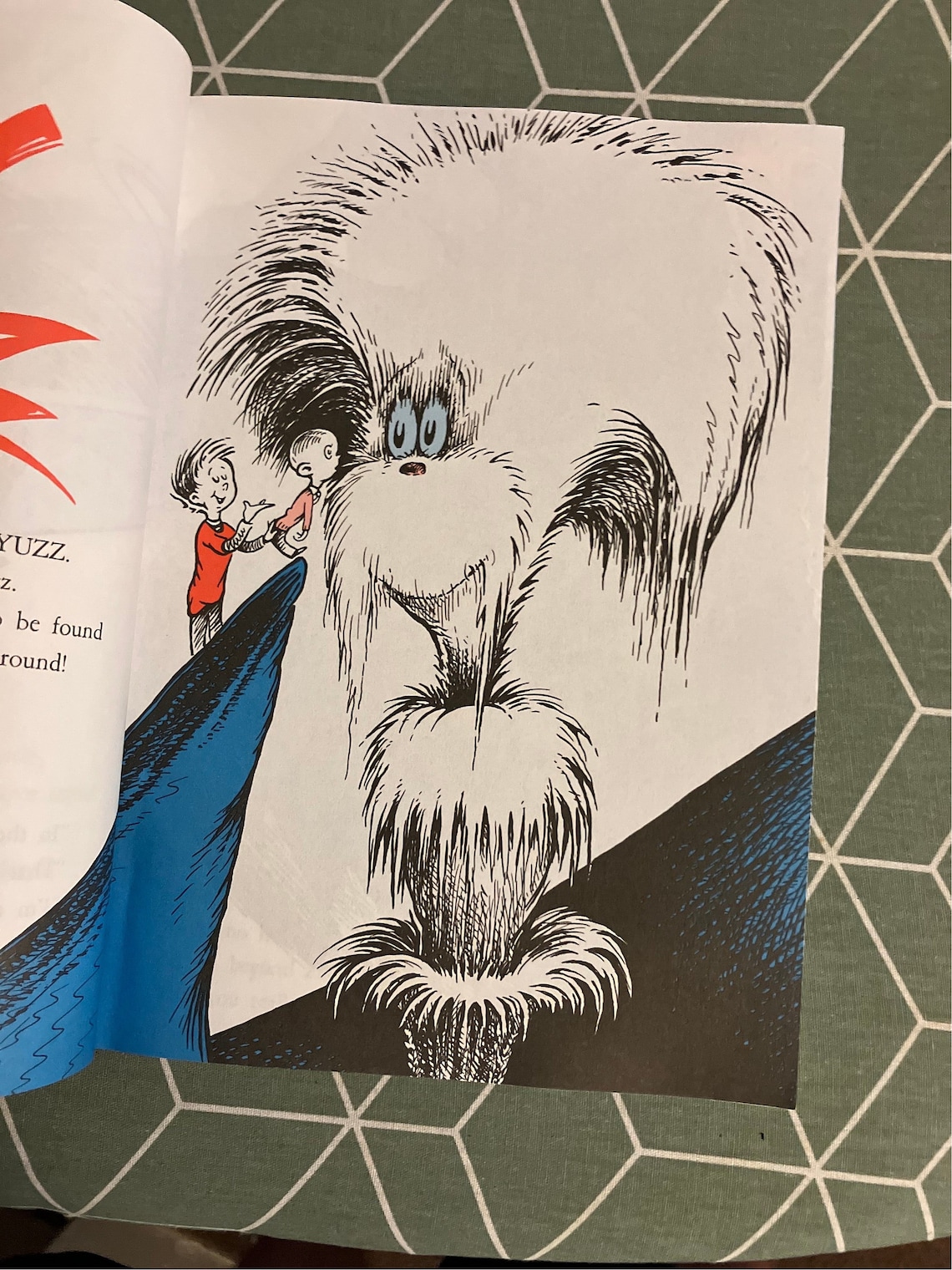 Rare Band Dr Seuss on Zebra. Beyond. Out of Print. - Etsy
