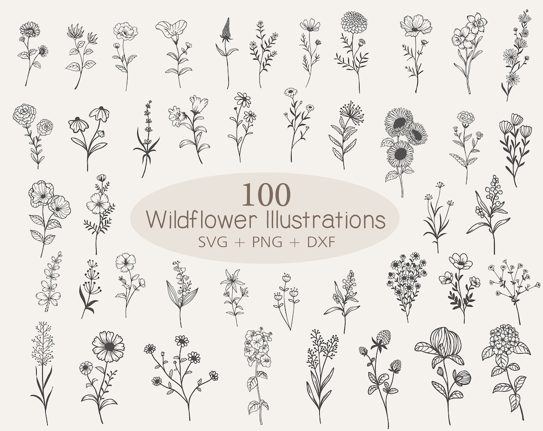 Wildflowers SVG, 100 Wildflower Bundle, Floral SVG Bundle, Wildflower ...