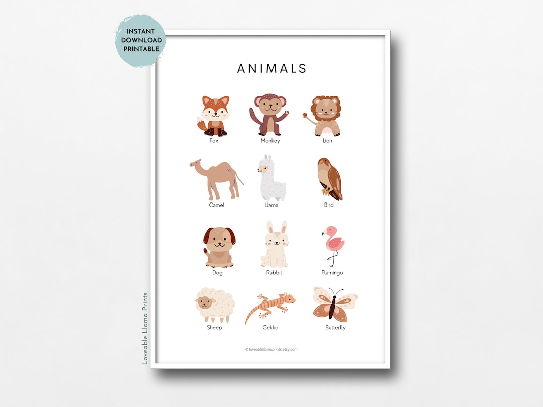 Animals' Poster Educational Poster Classroom Decor - Etsy