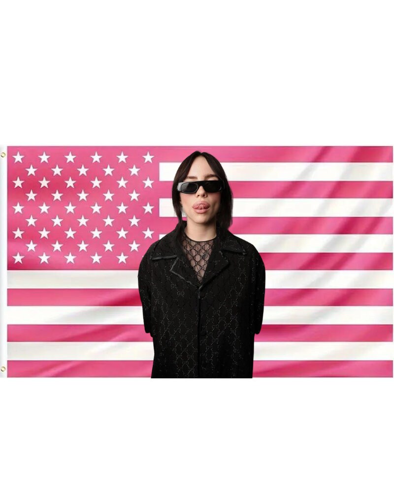 Pop Star Singer Pink USA Flag American Flag Tiktok Meme Trendy Room ...