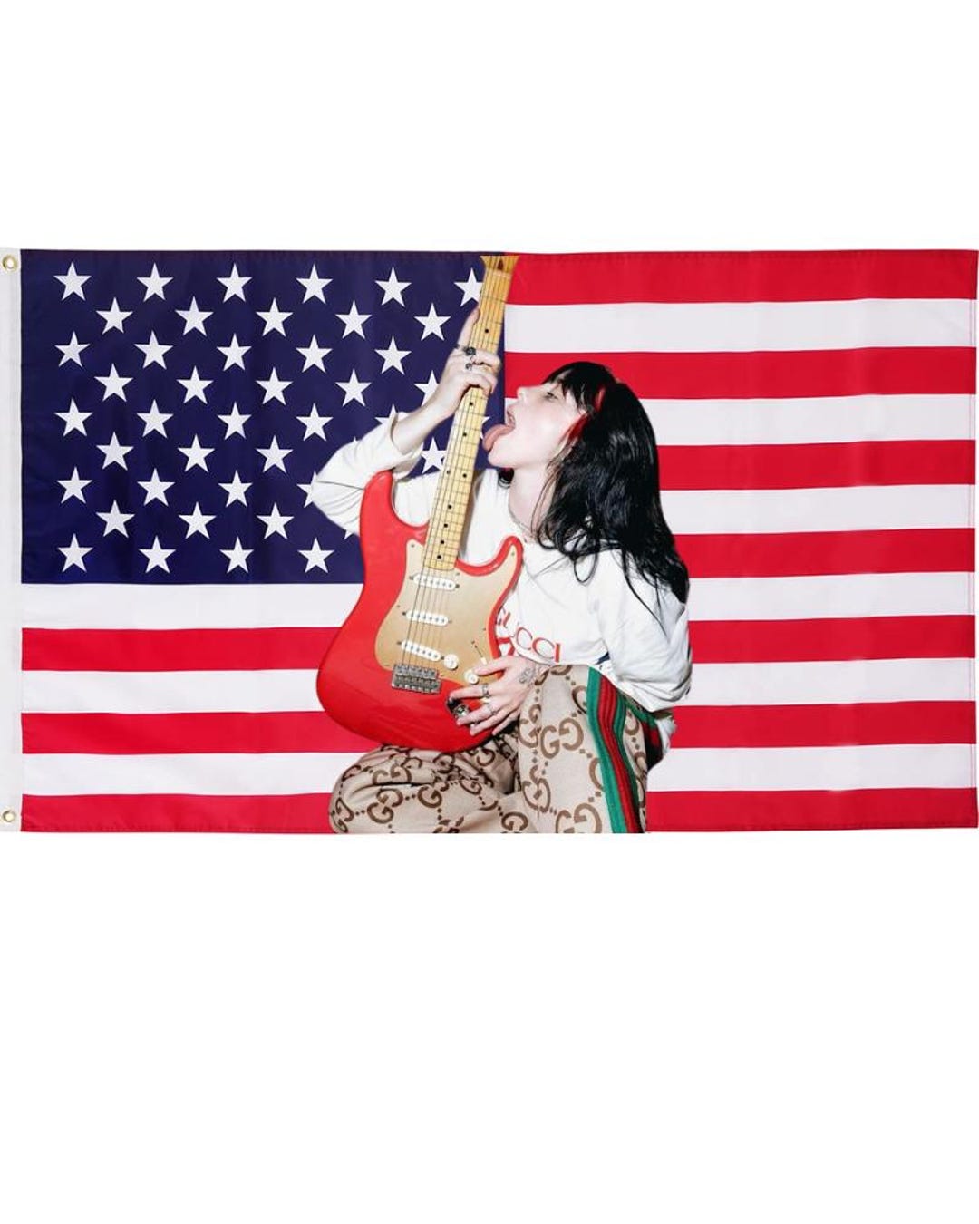 Pop Star Singer USA Flag American Flag Tiktok Meme Trendy Room Tapestry ...