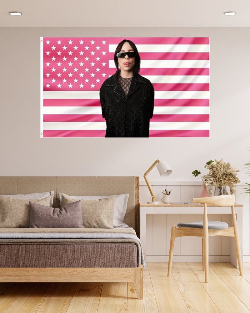 Pop Star Singer Pink USA Flag American Flag Tiktok Meme Trendy Room ...