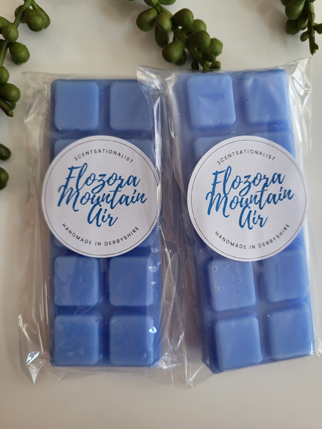 Zoflo Mountain Air Wax Melts, 50g Snap Bars, Highly Scented, Long ...