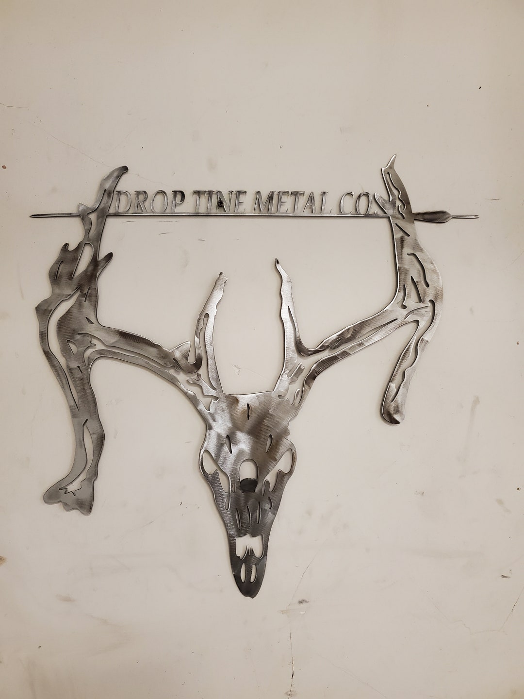 Deer Skull European Mount - Etsy