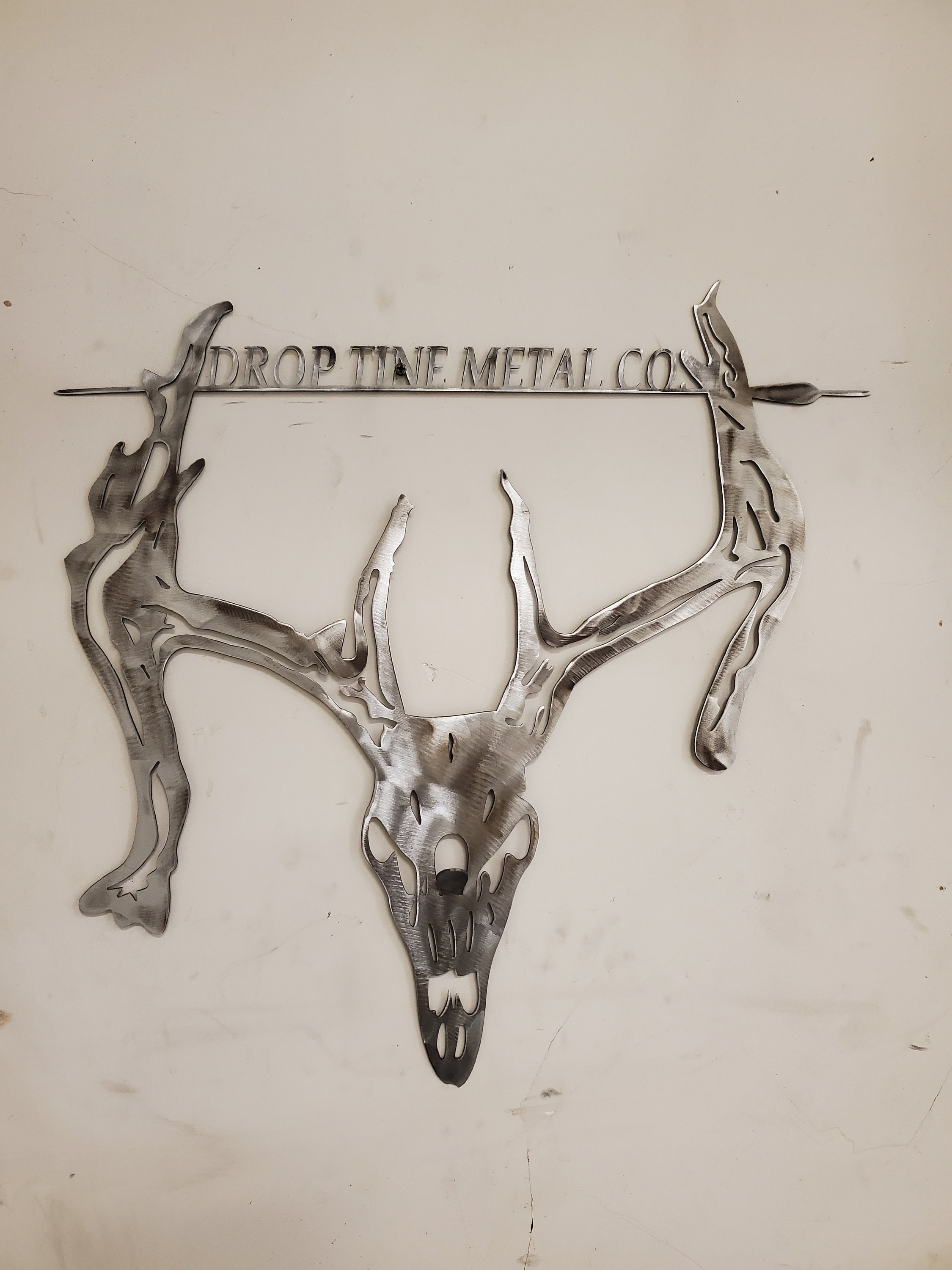 Deer Skull European Mount - Etsy