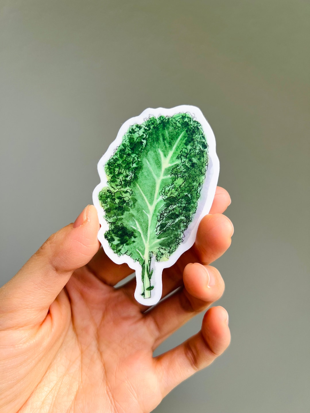 Kale Vinyl Sticker Hand Painted Watercolor Garden Vegetable Stickers ...