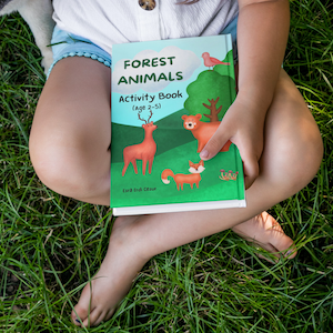 Forest Animals Busy Binder, Shapes Colors Numbers, Counting, Montessori ...
