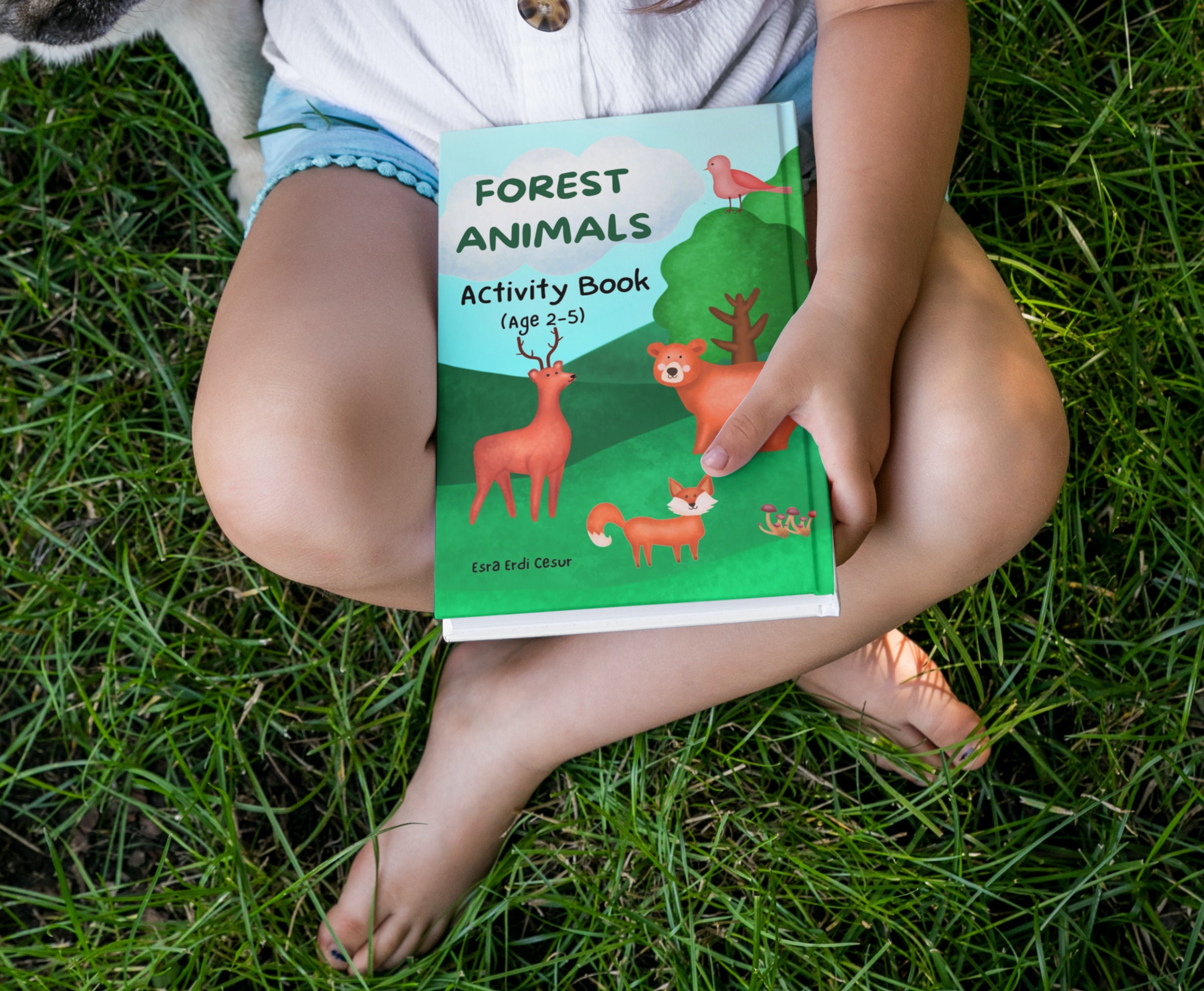 Forest Animals Busy Binder, Shapes Colors Numbers, Counting, Montessori ...