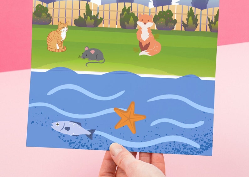 Land Air Water Animals Sorting Activity Quiet Book Page Cut - Etsy