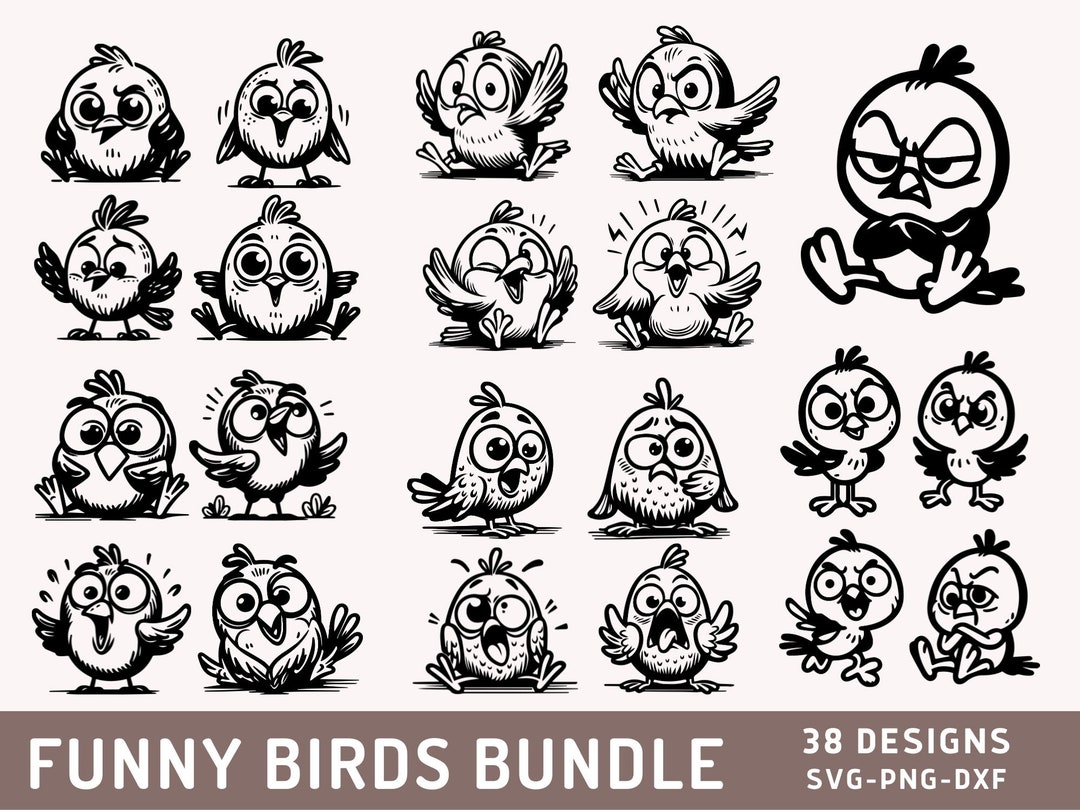 Funny Birds Bundle Svg, Cute Birds Design, Crazy Birds Clipart Svg ...