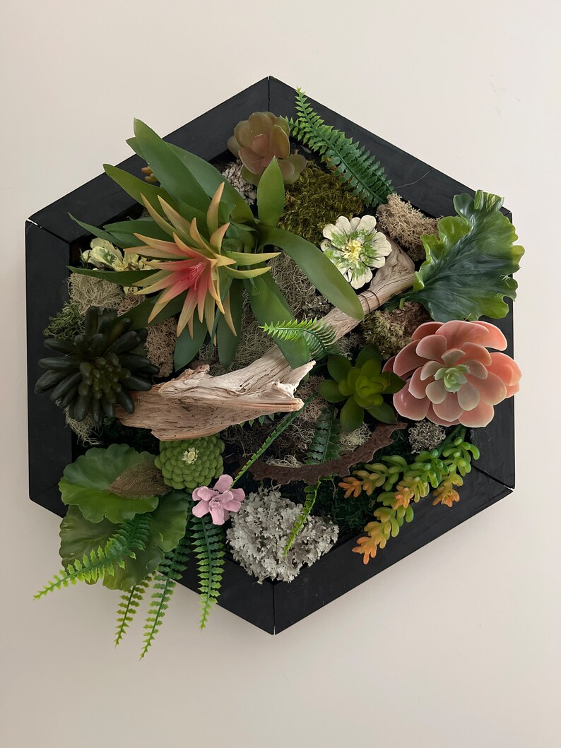Succulent Garden Wall Display in Black Wood Frame With Carefree Green ...