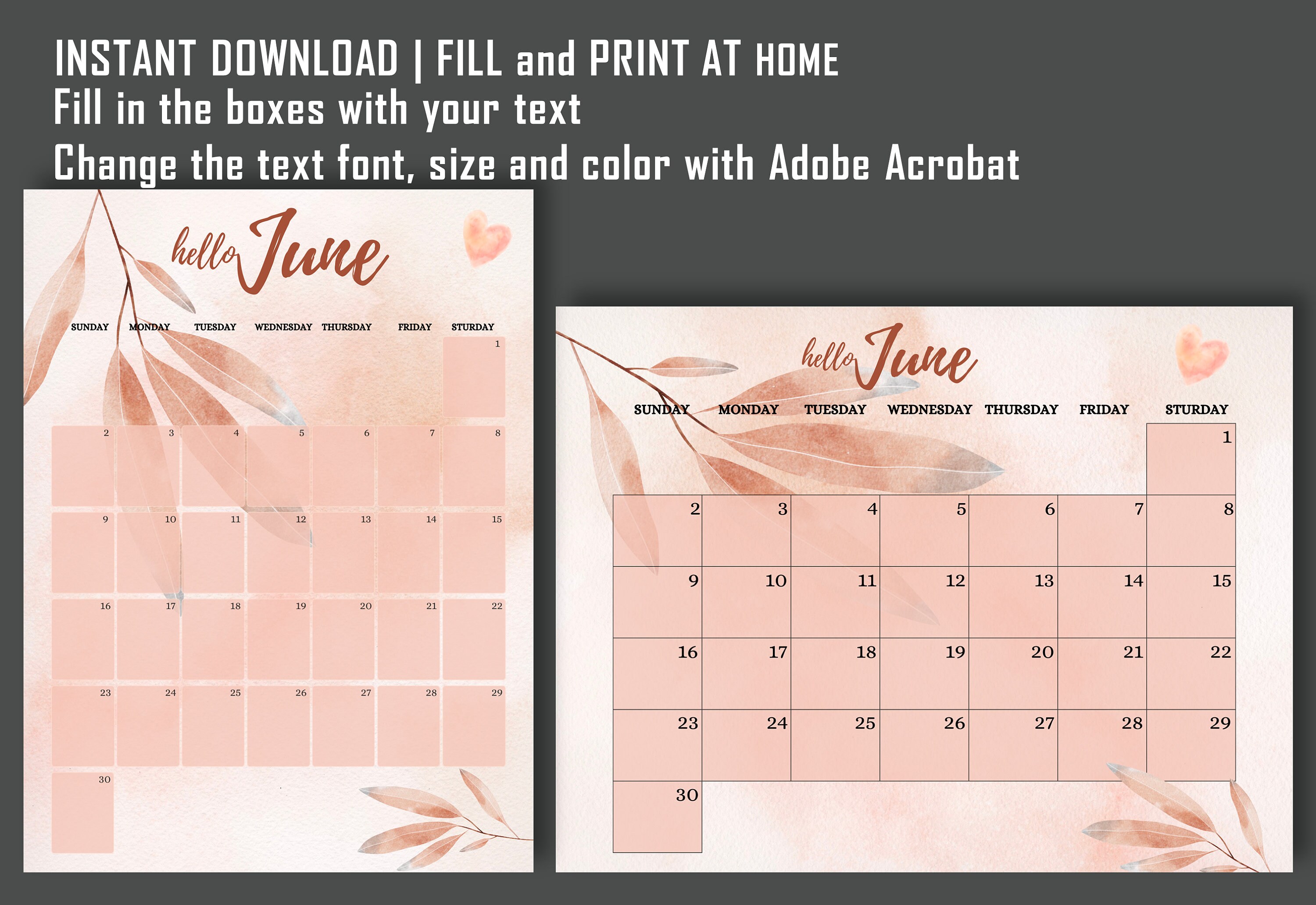 EDITABLE June 2024 Calendar, June 2024 Printable Calendar, Printable ...