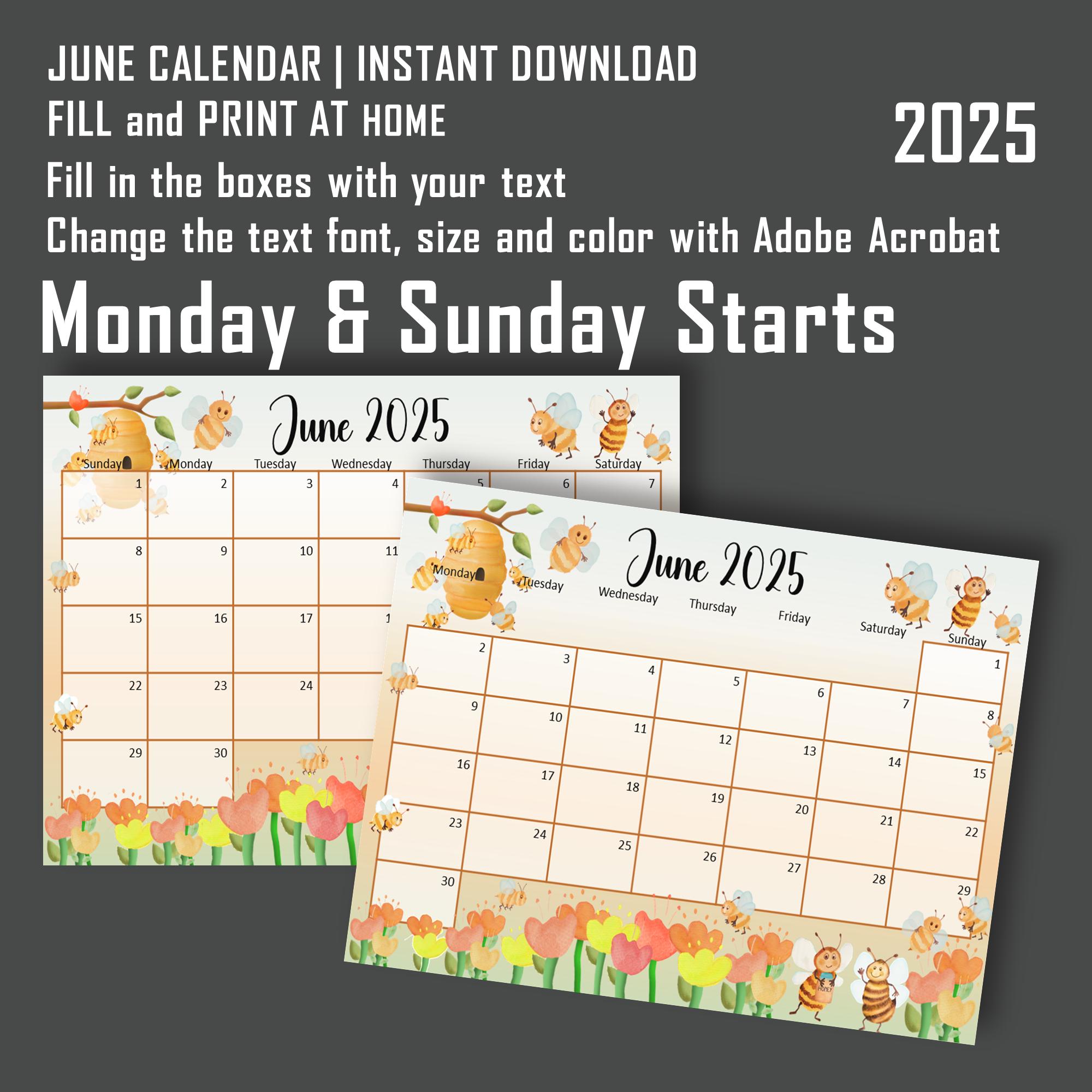 EDITABLE June 2025 Calendar, Summer Planner W/ Cute Flower Bee ...
