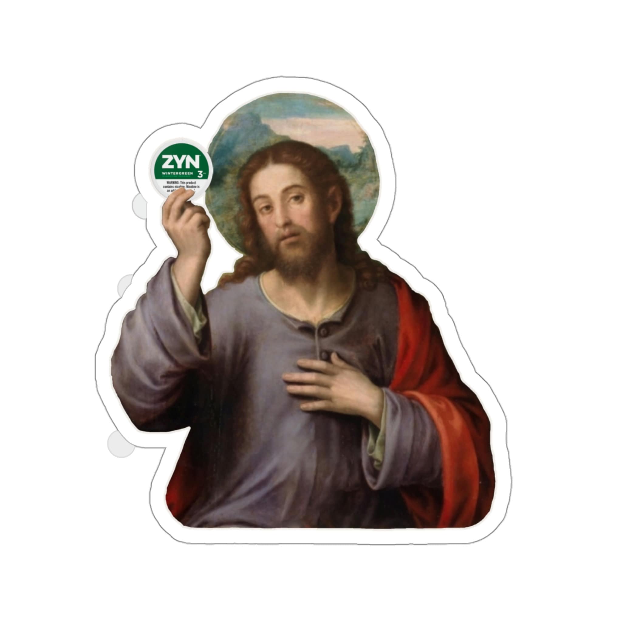 The Last Zyn ZYN Sticker, ZYN, ZYN Nicotine Pouches, Funny Sticker - Etsy