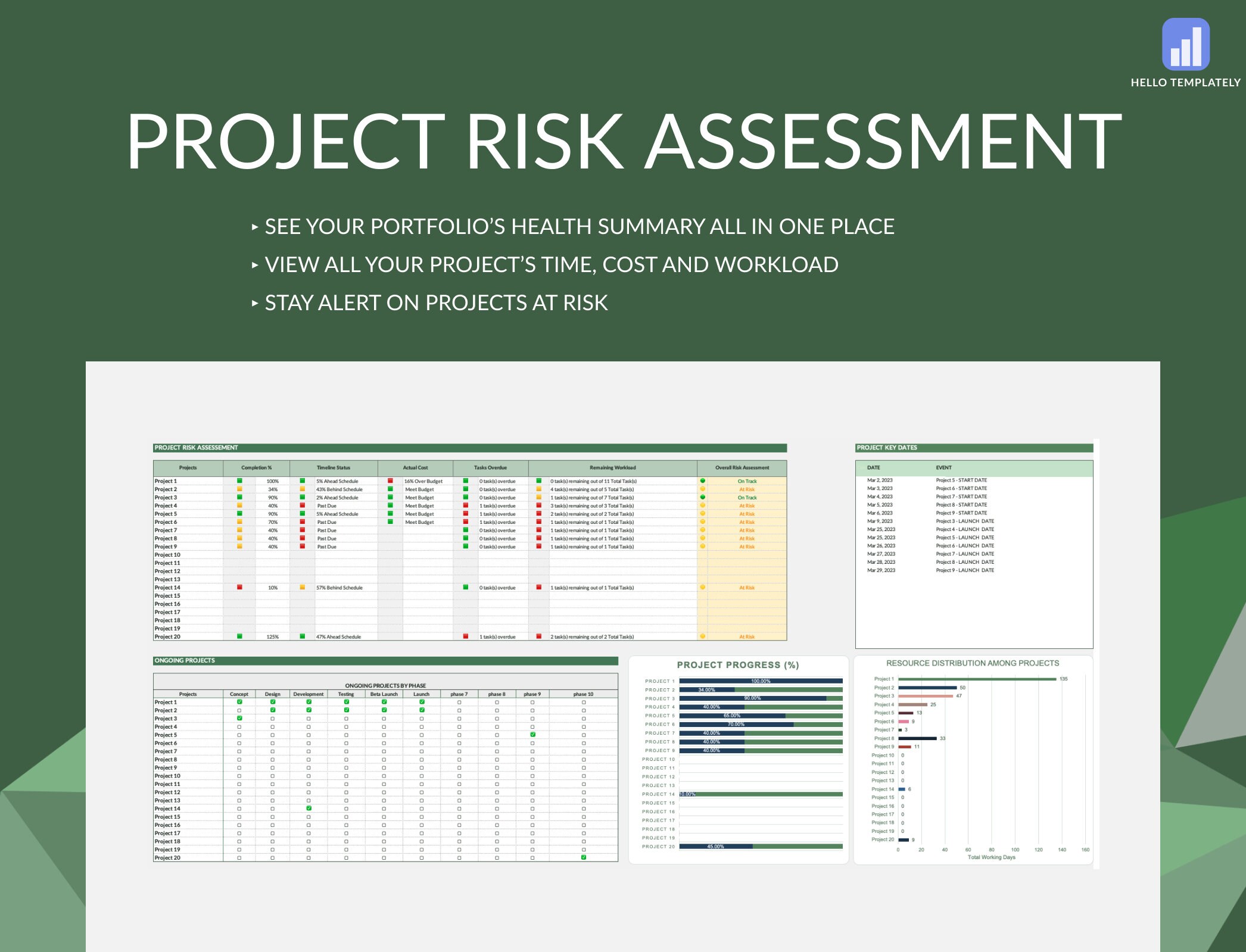 Project Management & Budgeting Template EXCEL Control - Etsy