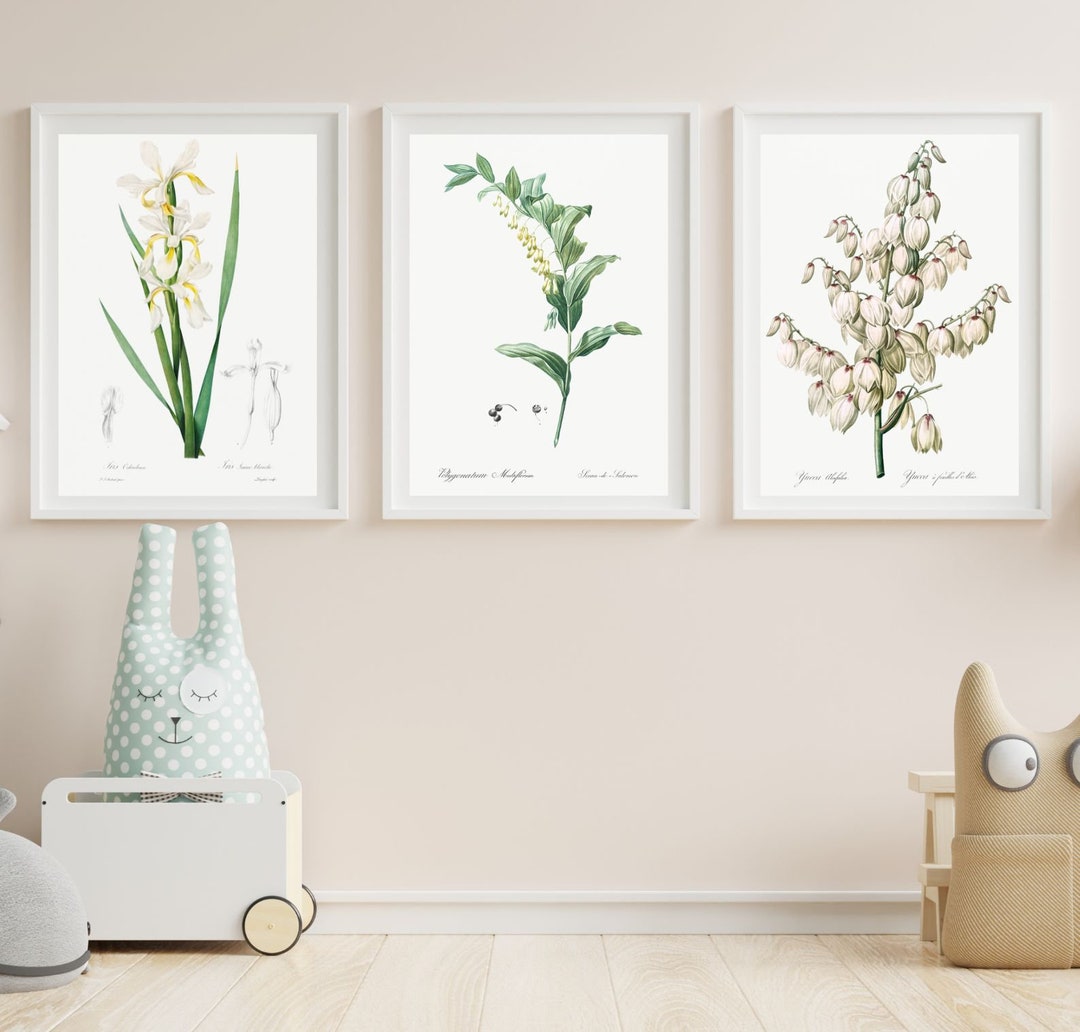 3er Set Bilder, botanische Kunst, Vintage Blumenbilder, 3er Pack, botanische Bilder ...