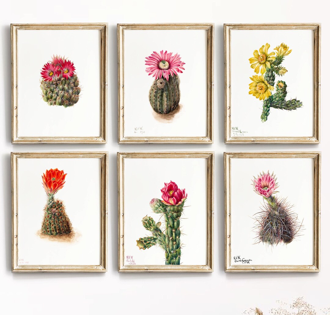 Watercolor Cactus Prints, Gallery Wall Art Set of 6 Prints, Cactus ...