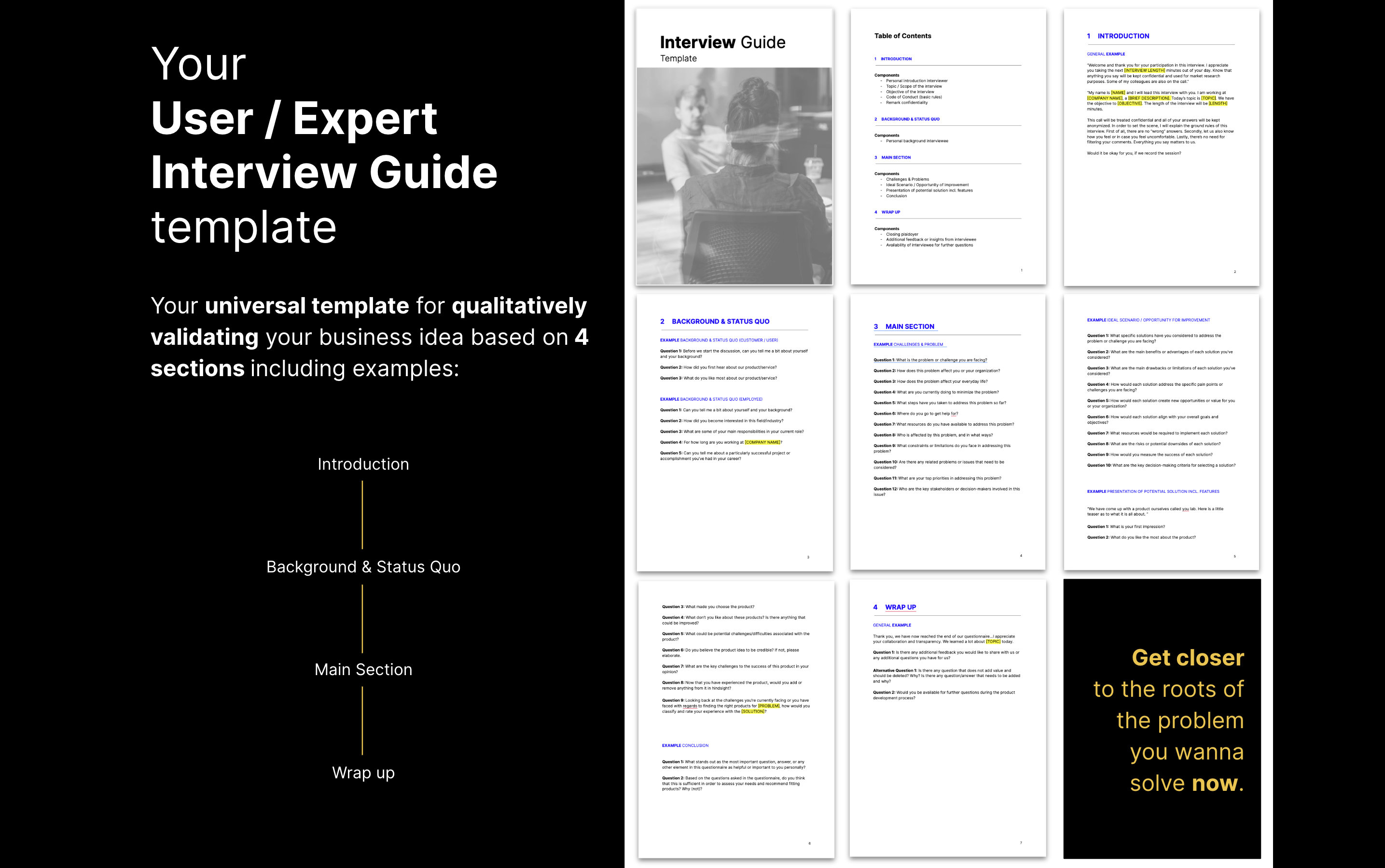 Interview Guide, Interviewleitfaden, Expert User Interview, Pain Point ...
