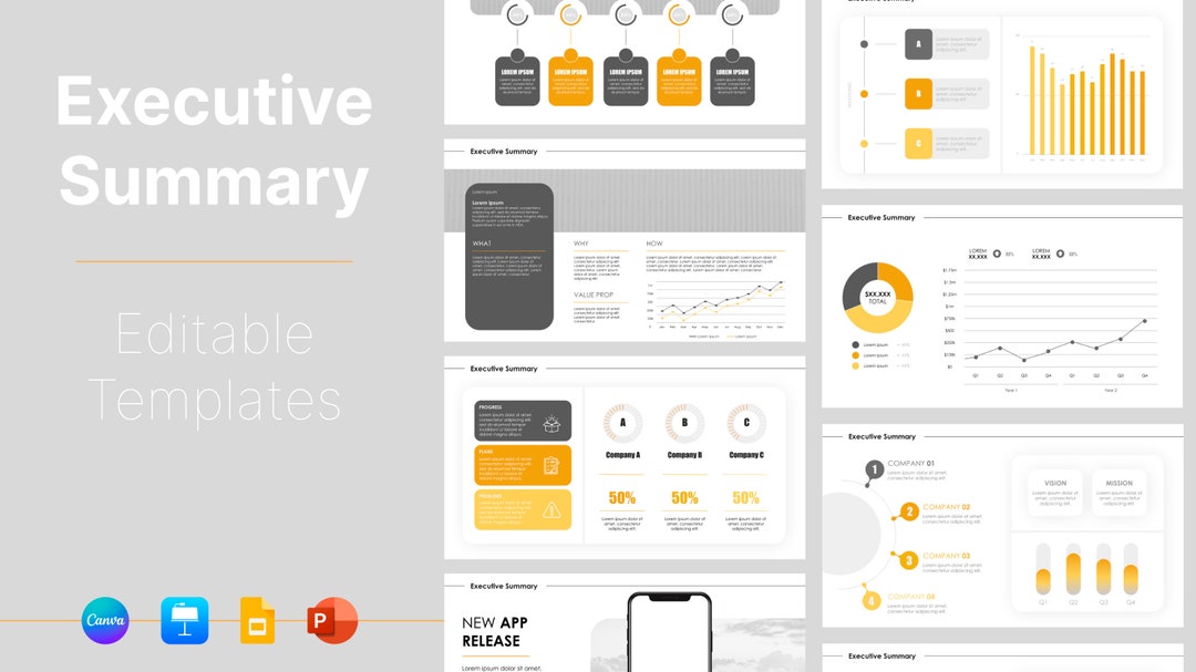Executive Summary Info Graphic, Powerpoint Template, Vorlage Für ...