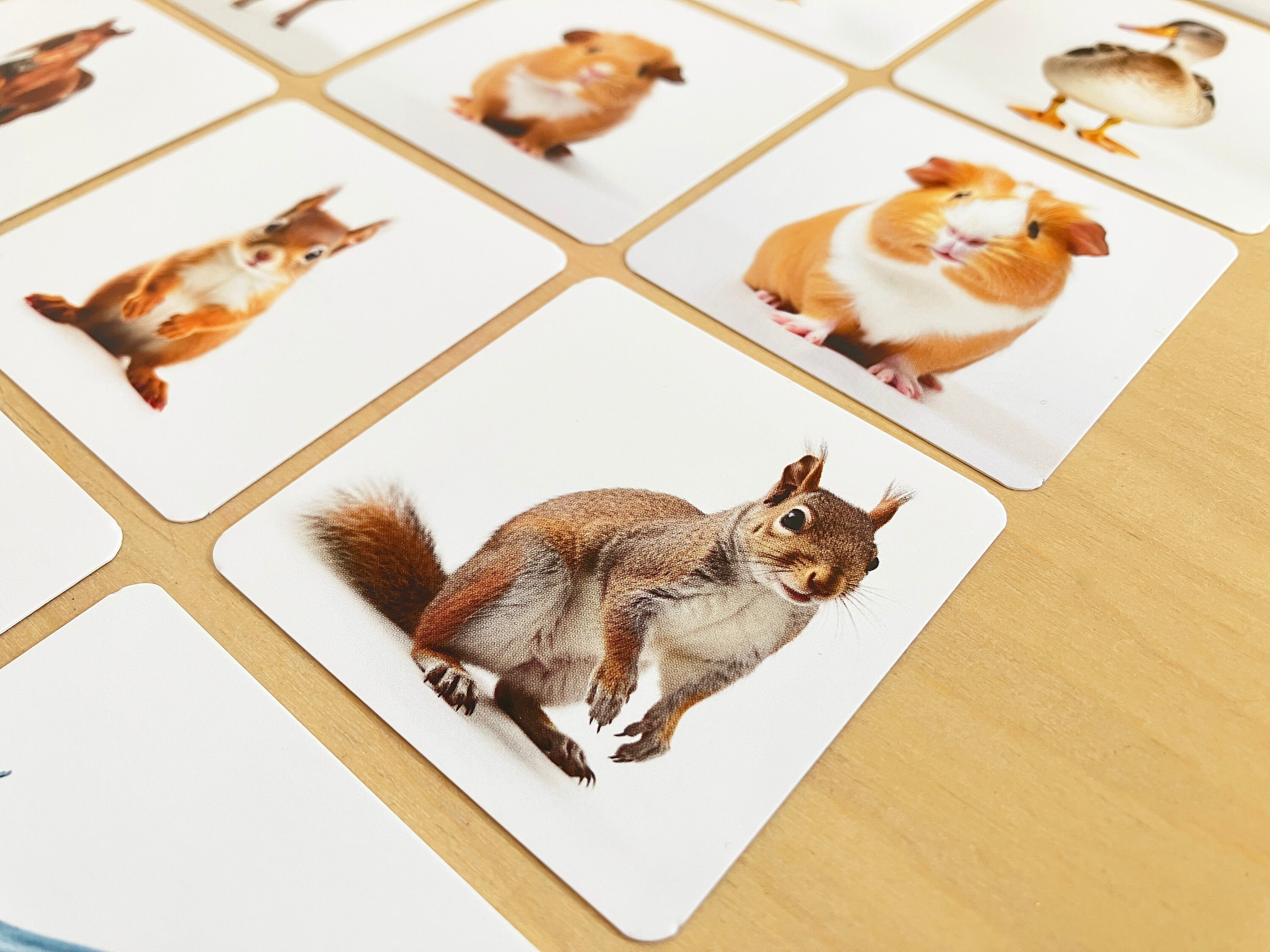 Montessori Animal Matching Game: Mama & Baby Pairs (PDF) - Etsy