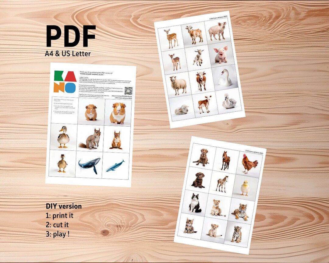 Montessori Animal Matching Game: Mama & Baby Pairs (PDF) - Etsy