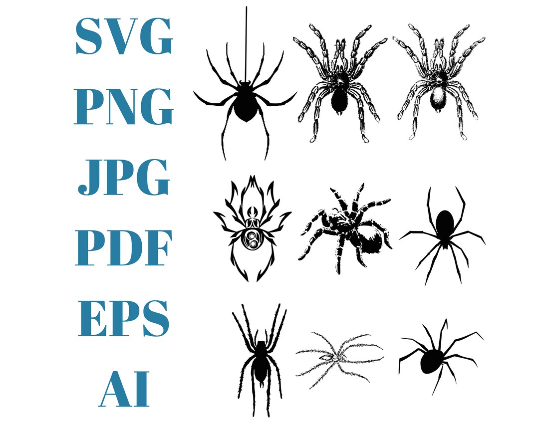 Spider | Instant Digital Download | Svg | Png | Pdf |ai |jpeg | Eps ...